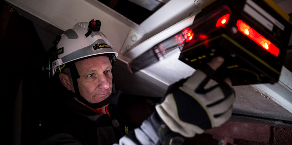 WASP | Carbon Creative